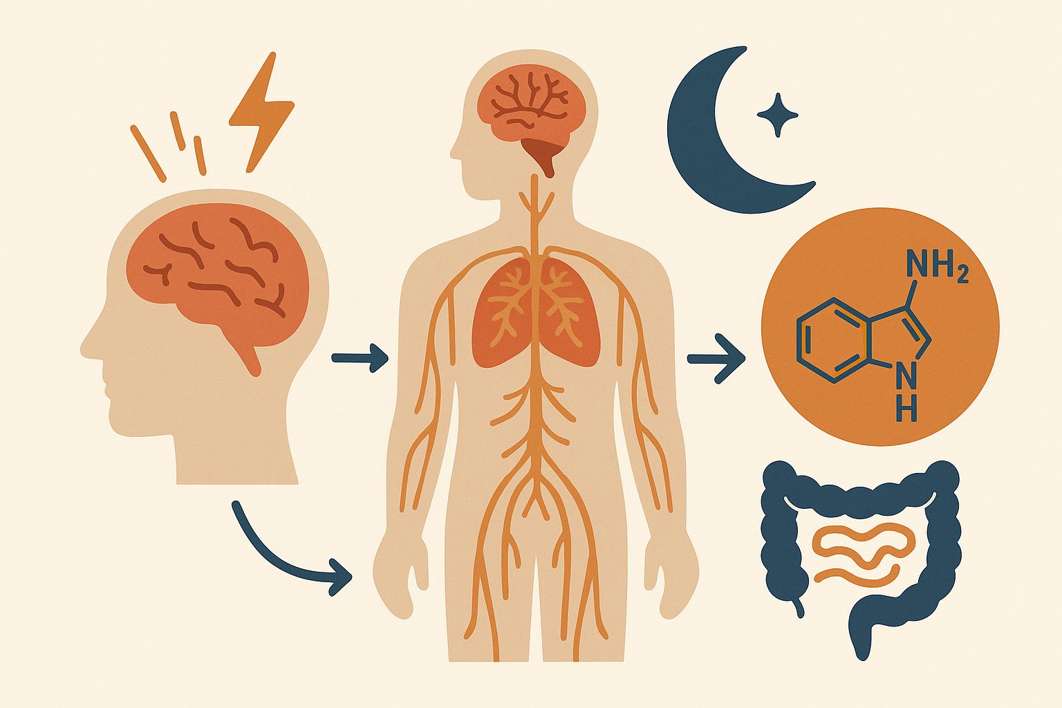 Stress, Sleep Hormones and Histamine | Biohacking - Health